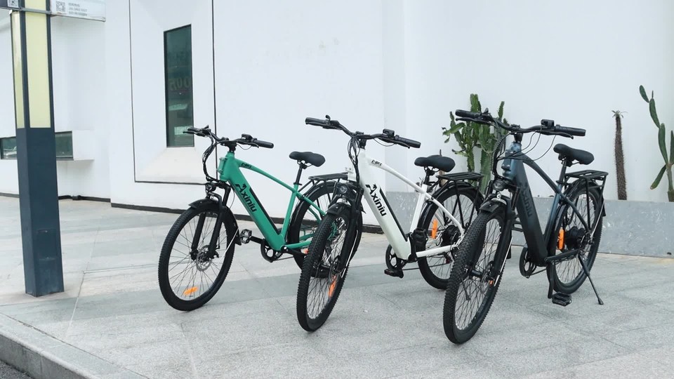 Green E-Bike 26'' Electric Bike Adults 750W Mountain City Bicycle ...