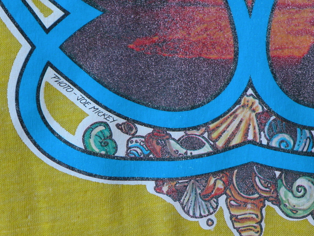 Rare Vtg 60s 70s Surf JOE MICKEY RICK SHARP Goleta Su… - Gem