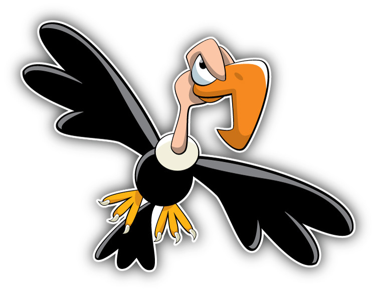 Buzzard Bird Car Bumper Sticker Decal - ''SIZES'' | eBay