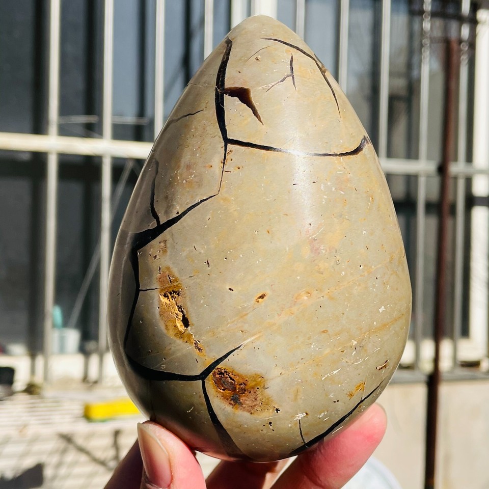 1174g Large Natural Dragon Septarian Septarium Crystal Egg Geodes ...