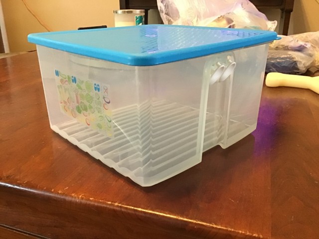 Large Tupperware Fridgesmart-Produce Chart On Clear Contaner Blue Lid ...