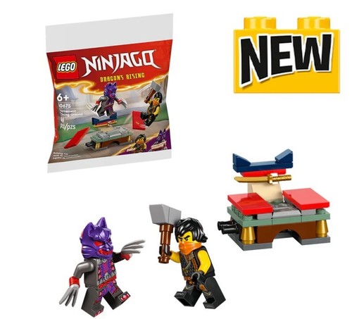 LEGO 30675 Tournament Training Ground Impulse Bag | eBay