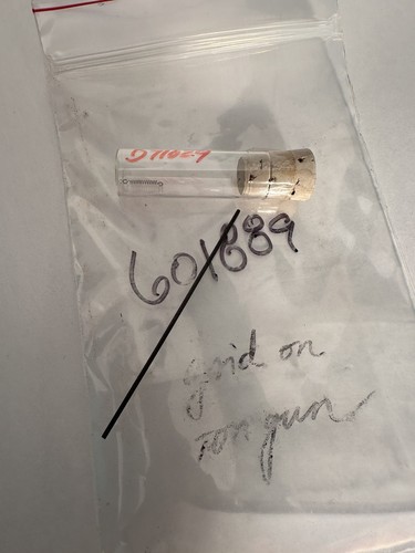 PHYSICAL ELECTRONICS PERKIN ELMER ION GUN FILAMENT TUNGSTEN 04-161 ...