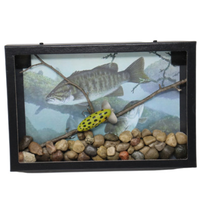 Taxidermy - Fish Wall Mount Vintage