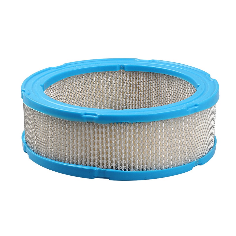 394018 Air Filter For Briggs & Stratton 392642 394018S 271271 272490 ...