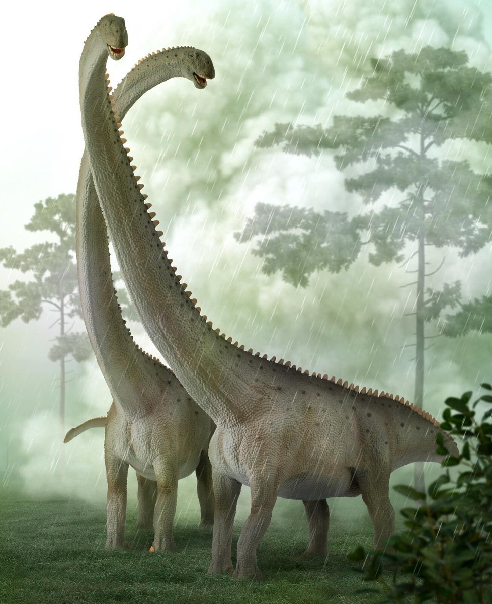 Dimensioni Del Mamenchisaurus
