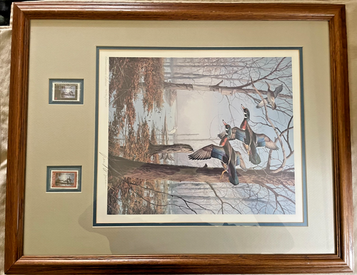 Ducks Unlimited 1989 Artist David Maass Signed Numbered Framed Print ...