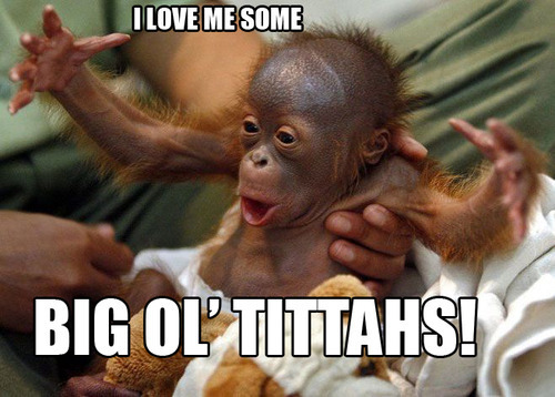 Baby Chimp Memes