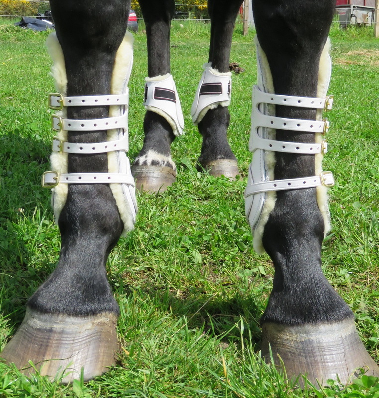 FSS Leather TENDON Boots Jumping SHEEPSKIN & FOAM Liner Elasticated ...