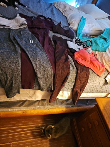 Women’s Clothes Clothing Lot Size Small SM ActiveWear Workout Gym ...