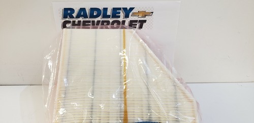 NEW GM OEM AIR FILTER 23335811 EQUINOX TERRAIN | eBay