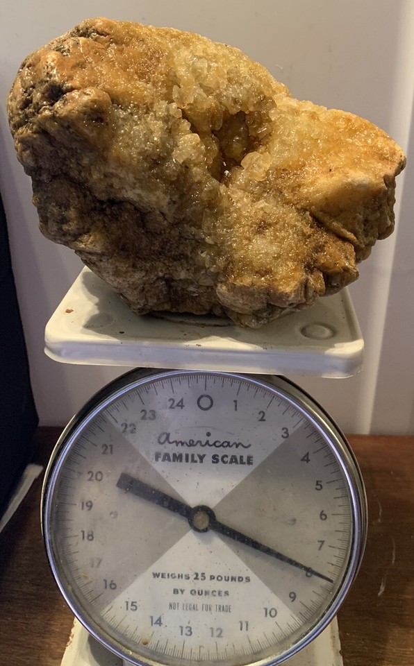 Fossilized Indiana Geode Quartz Crystal Open Face 8 Lb Agate crinoid ...