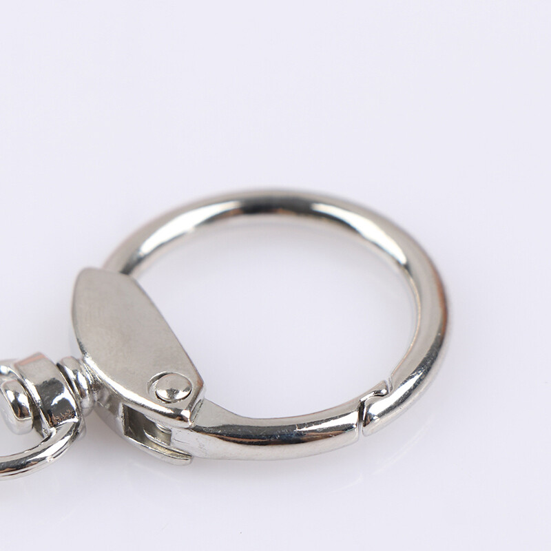 5Pcs Metal Clamp Carabiner Spring Style Rotating Keychains Lobster Lock ...
