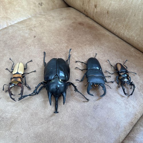 4 Types Beetle Figure Set | eBay