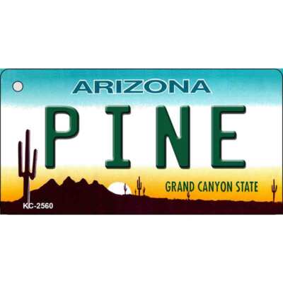 Pine Arizona State License Plate Tag Key Chain KC-2560 | eBay