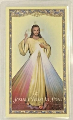 Divine Mercy Laminated Holy Card with The Divine Mercy Chaplet Prayer ...