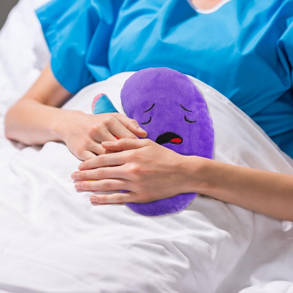 Attatoy Plush Kidney, Stuffed Body Organ Toy for Get Well Gift, Health ...
