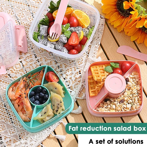 Lunch Box Large Capacity Salad Storage Double-layer Salad Box Long ...