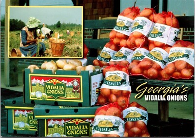 6x4" Postcard Georgia's Vidalia Onions - Official State Vegetable | eBay