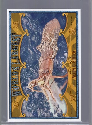 2021 Topps Allen and Ginter Worlds Largest Box Toppers #WLB6 Giant ...