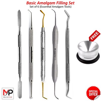 Basic Amalgam Filling Set Dental Cement Spatula Burnisher Plugger ...