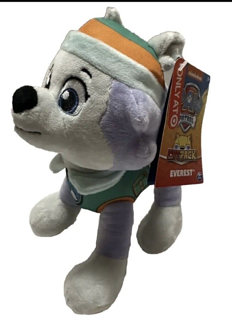 Paw Patrol Plush Cat Rory, Leo, Everest, Wild, Skye OR Shade Your ...