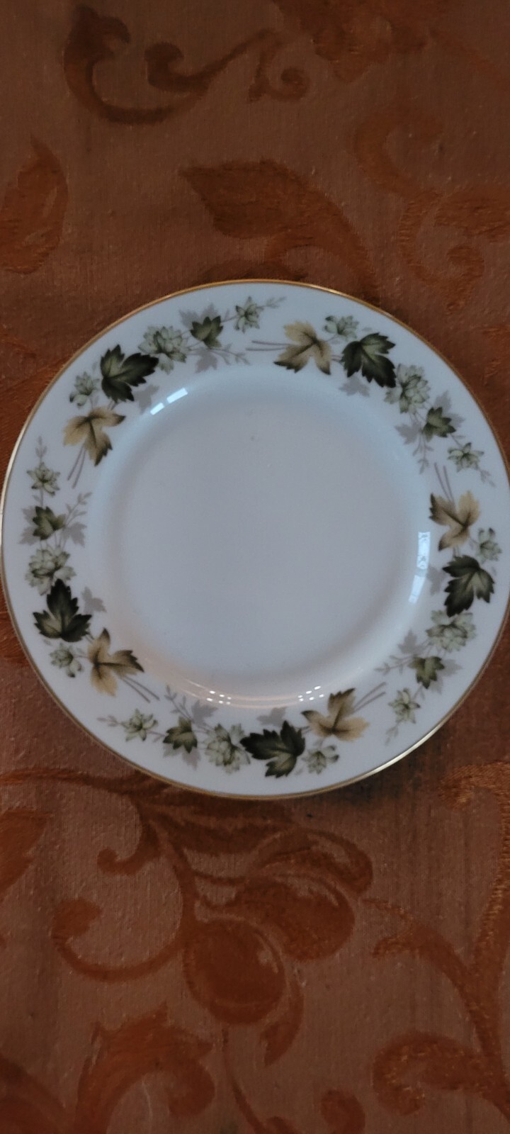 Royal Doulton Larchmont Pattern English Translucent China 10 1/2 Plate ...