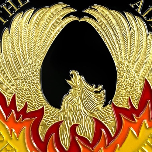 Phoenix AA Medallion Coin - Out of The Ashes Addiction - Sobriety... | eBay