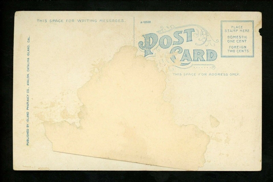 California CA postcard Catalina Island, Seal Rocks Vintage | eBay