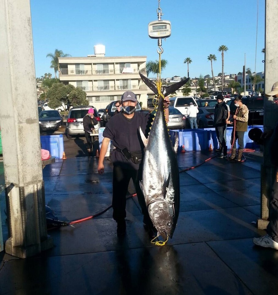 Two Jaws Nano Railrod Blank 7'3" MONO 50~120lb PE Line rating 80~130lb ...