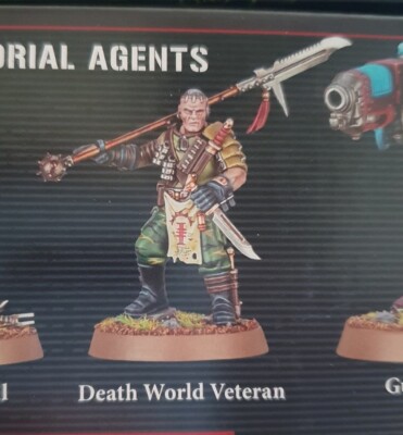 Kill Team Ashes Of Faith Inquisitorial Agent SINGLE MODEL Deathworld ...