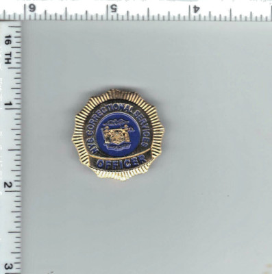 New York State Department of Correctional Services Officer 1-Inch Mini ...