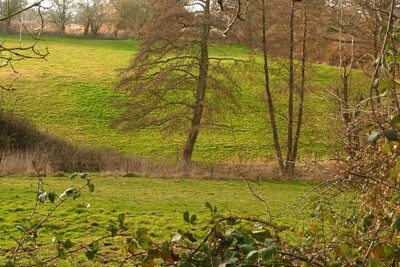 Photo 6x4 Pasture near Stone House Crookham/SU5464 Pasture and woodland ...