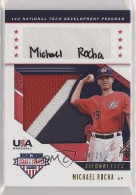 2019 Panini USA Baseball Stars & Stripes Jerseys Prime /25 Michael ...