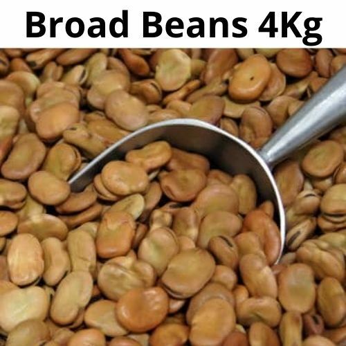 Dried Broad Bean 4kg - Broad Beans 4kg - High Quality | Fast & Free ...