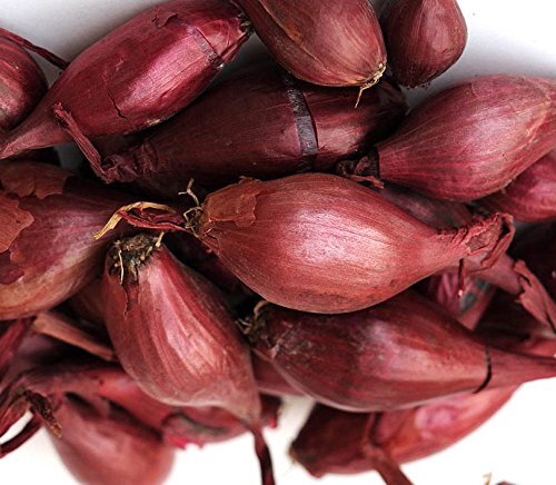 (10) Sweet Red Onion Sets for Growing Your Own Onions for Great Tasting ...