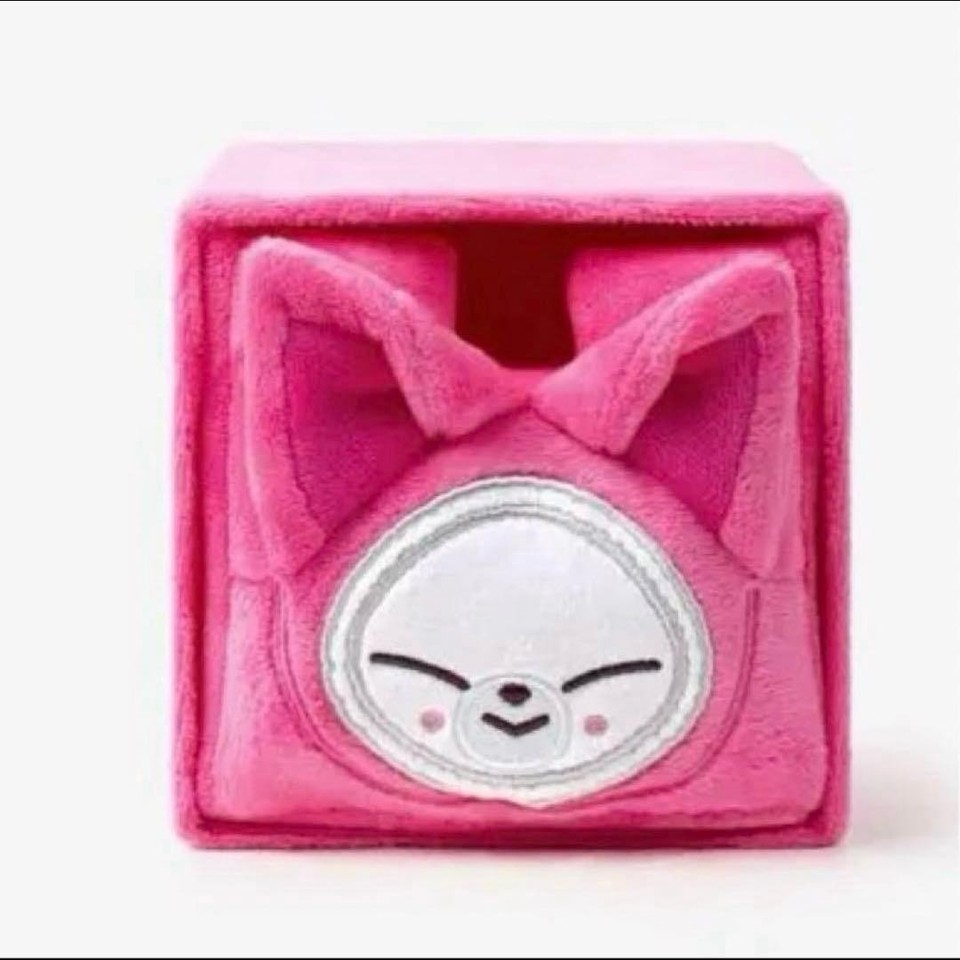 SKZOO Pop-up Plush Storage BOX Foxinny | eBay
