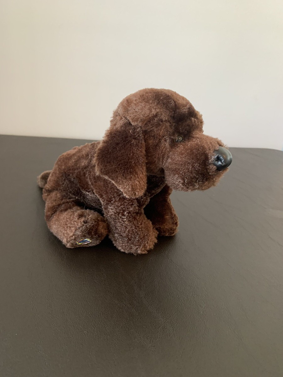 Webkinz Chocolate Pup