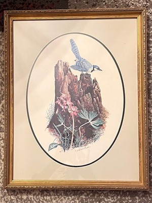 Vintage Robert Redden framed print "Morning Watch" - blue jay on a tree ...