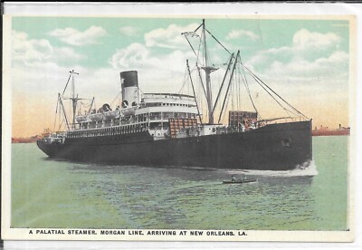 PALATIAL STEAMER MORGAN LINE, ARRIVING AT NEW ORLEANS, Louisiana Unused ...