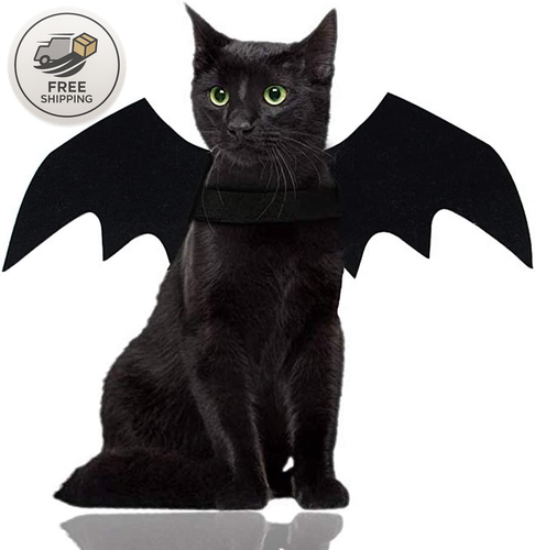 Halloween Cat Costume for Cats Dogs Pet Bat Wings Cat Dog Bat Costume ...