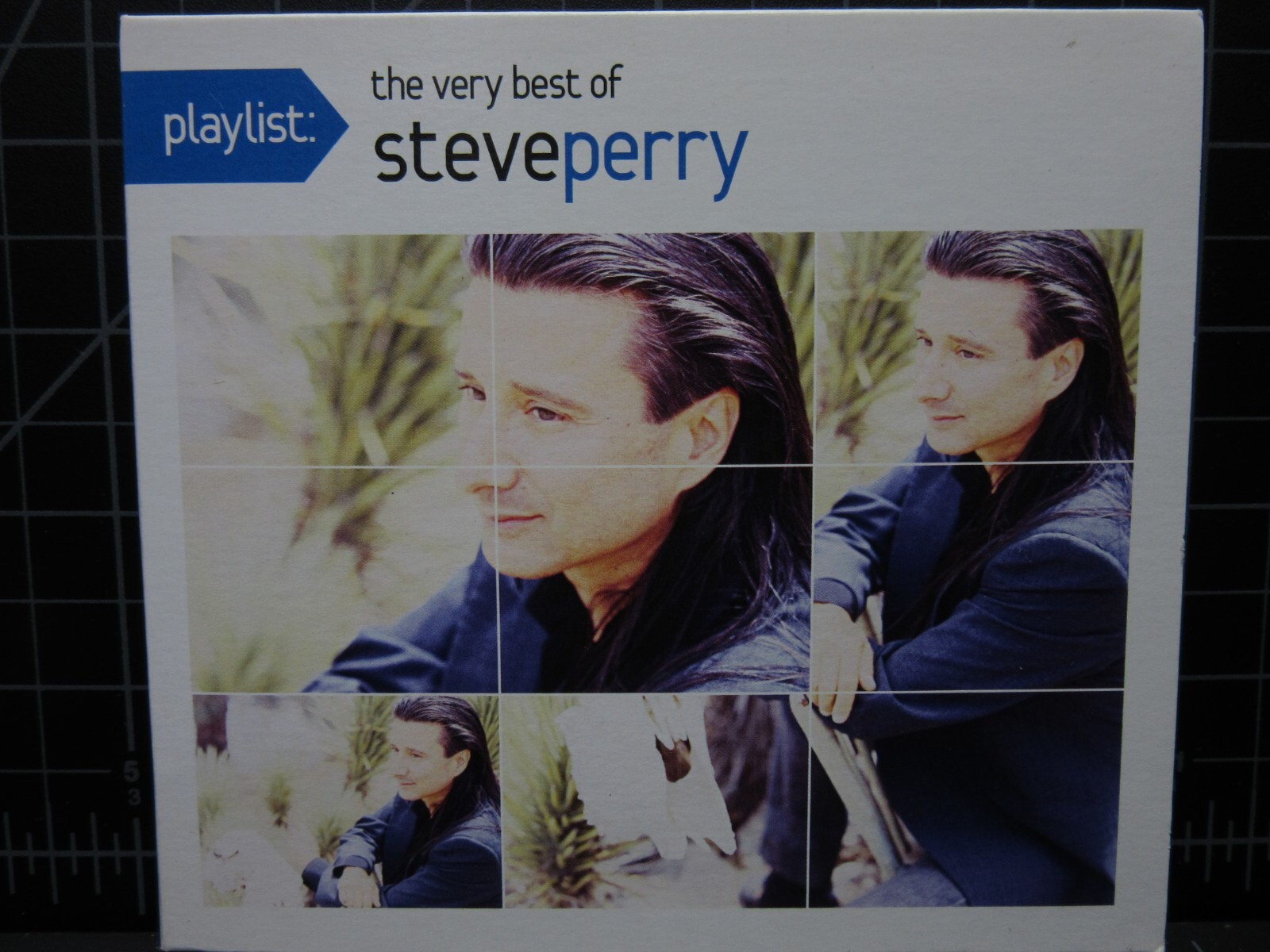 STEVE PERRY - Playlist: The Very Best Of Steve Perry - CD | eBay