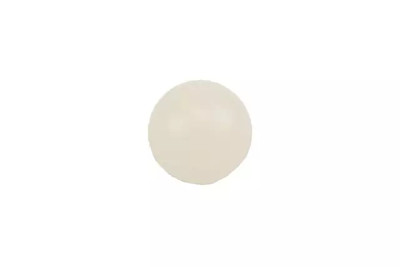 Genuine GM Automatic Transmission Control Valve Body Check Valve ...