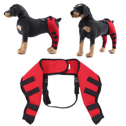 Dog Leg Braces Canine Hind Hock Wraps for Injury Sprain Protection ...