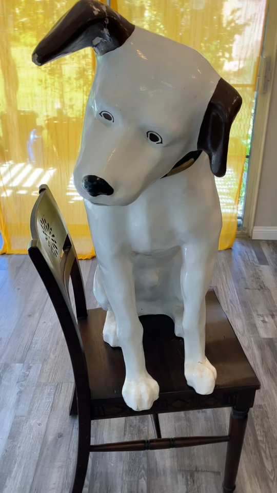 NIPPER ~ PAPER MACHE RCA ~ JVC Nipper Dog ~ LARGE 3-Foot-Tall Display ...