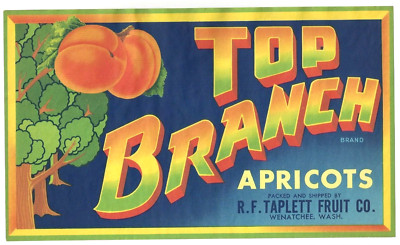 Original TOP BRANCH apricot crate label R.F. Taplett Wenatchee ...