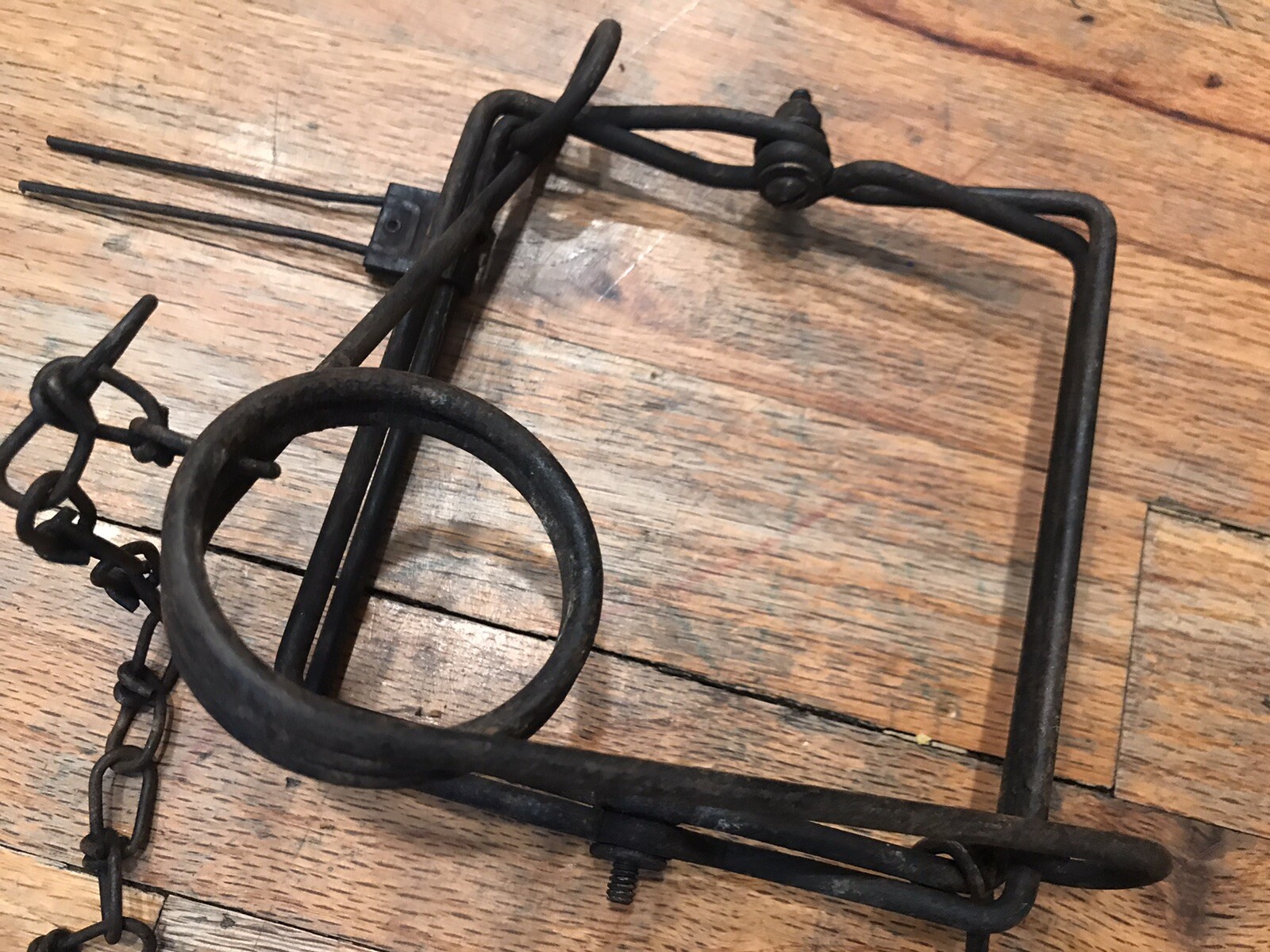 VINTAGE DUKE 110 CONIBEAR TRAP SQUIRREL MUSKRAT MINK TRAPPING OPOSSUM ...