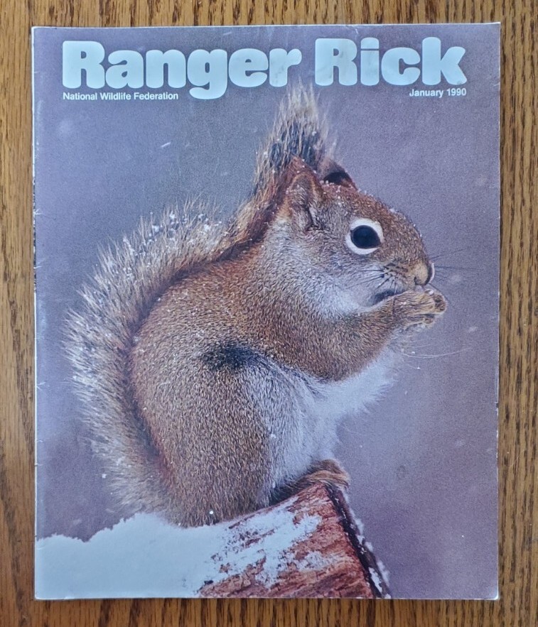 Lot of 12 Vintage Ranger Rick Magazines 89,90,91 National Wildlife ...