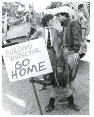 Pam Dawber James Naughton 7x9 original photo #A4887 | eBay