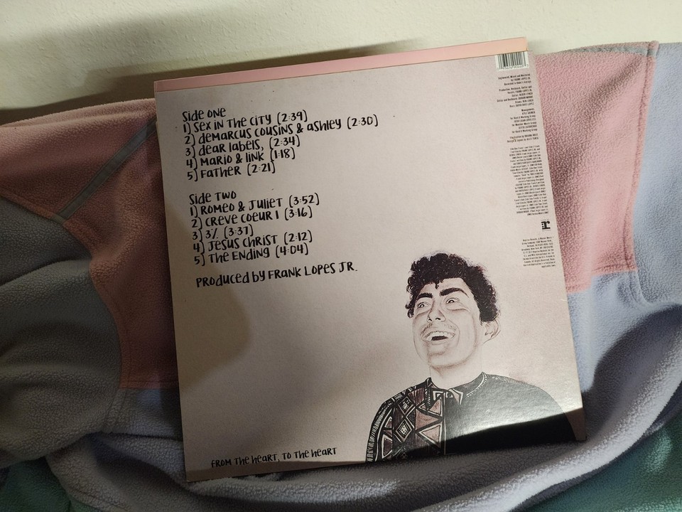 Hobo Johnson - The Rise of Hobo Johnson - LP | eBay